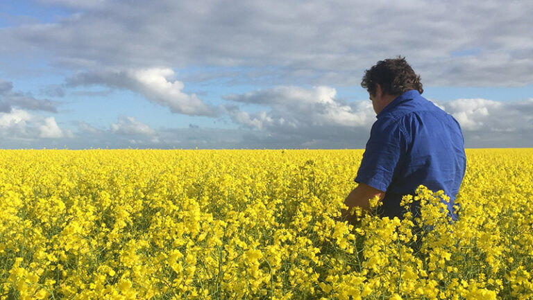 Home - Waringa Farming